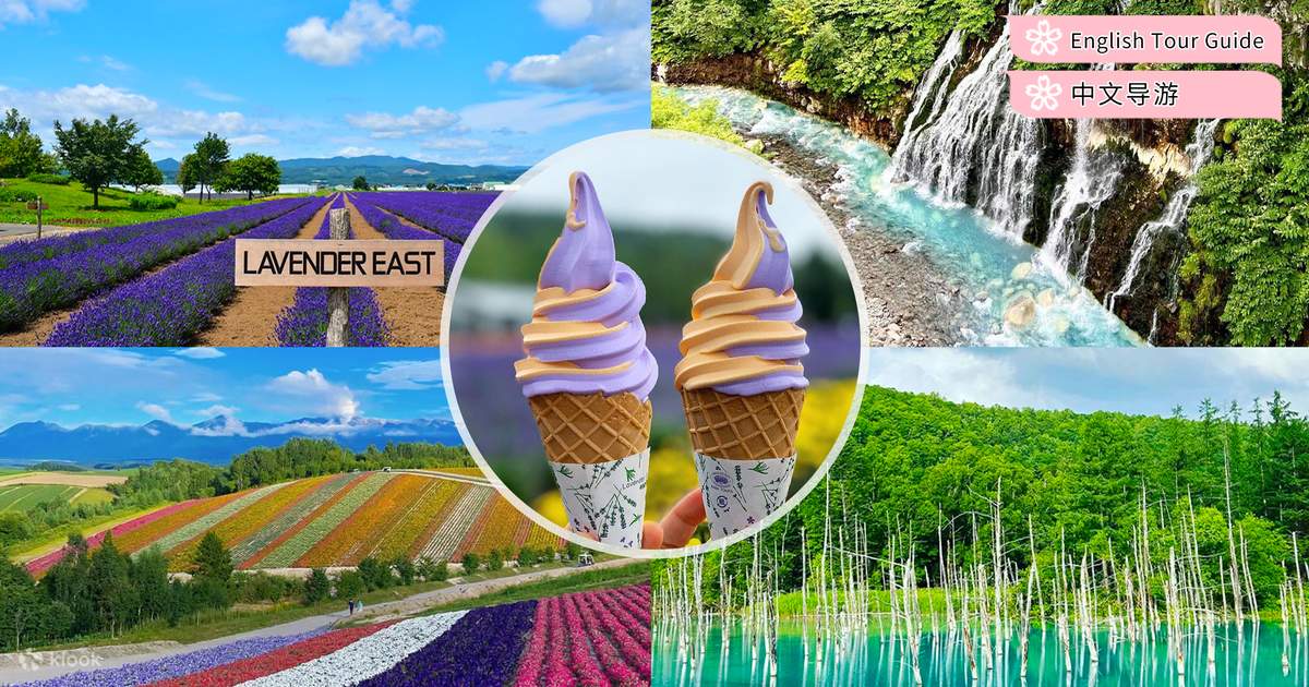 [Hokkaido Summer Internet Celebrity Check-in] Patchwork Road Seven Star ...